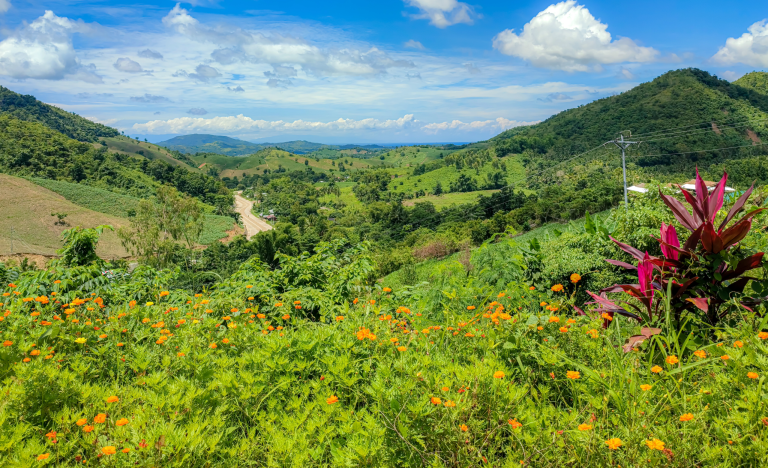 Divisions of Iloilo - Iloilo Ph